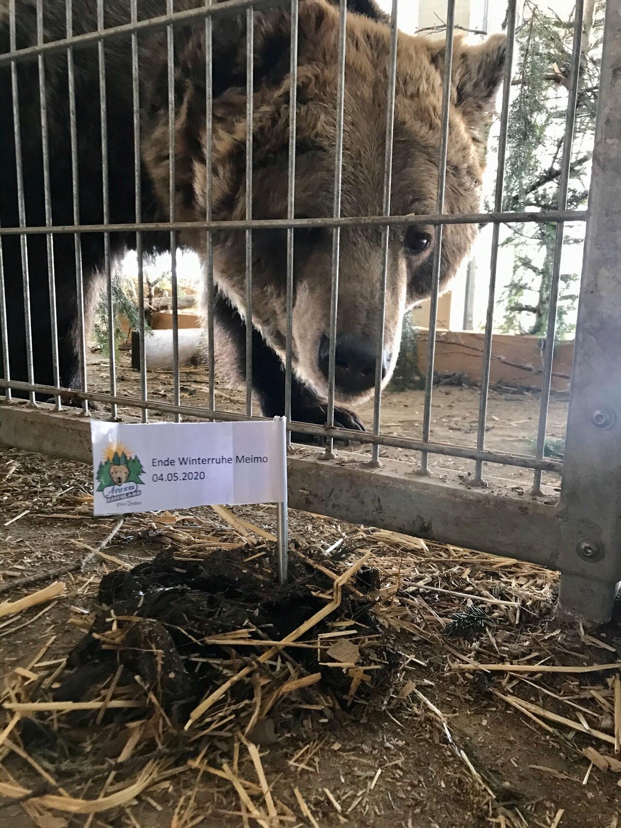 Meimo und Amelia haben ihre Winterruhe offiziell beendet