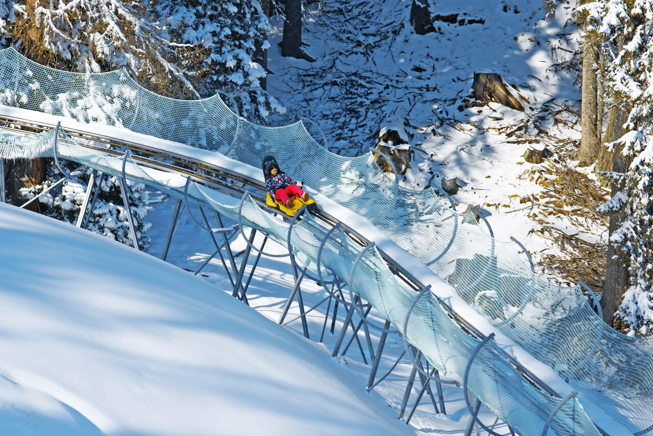 Rodeln, Zipline & Skifahren in Churwalden | Lenzerheide