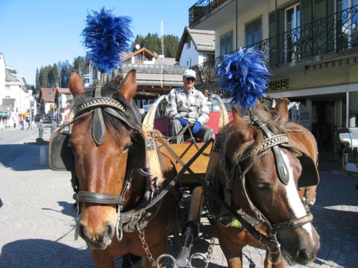 Carriage Ride Fam. Margreth | Holidays in Lenzerheide | Switzerland